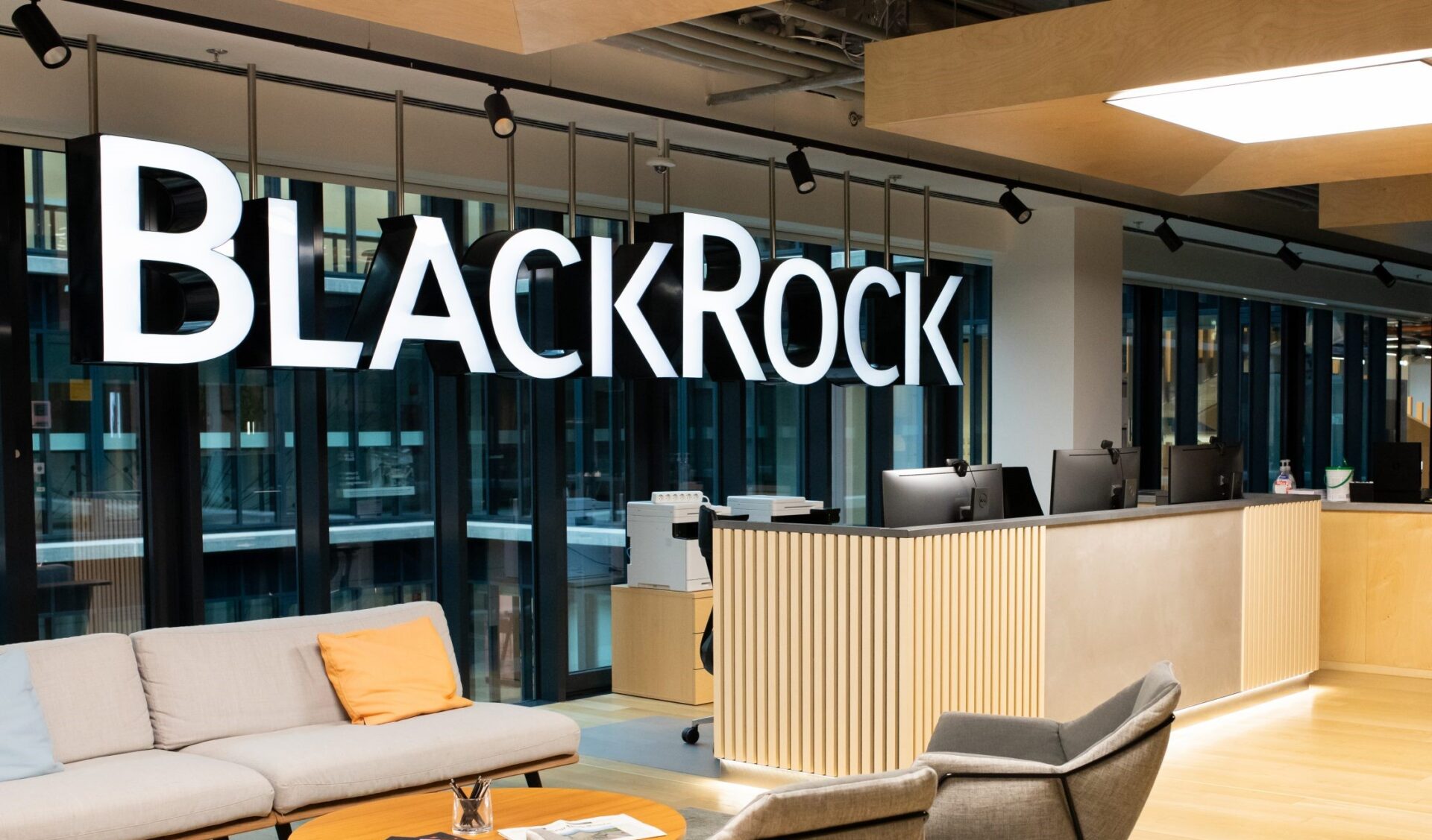 BlackRock’s Wallet Flooded with NFTs and Memecoins After $100M USDC ...